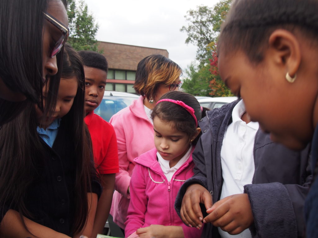 Francis Scott Key Elementary School – The Clean Water Partnership